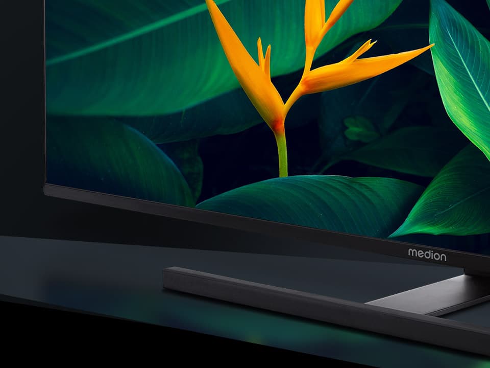 TV | MEDION.DE